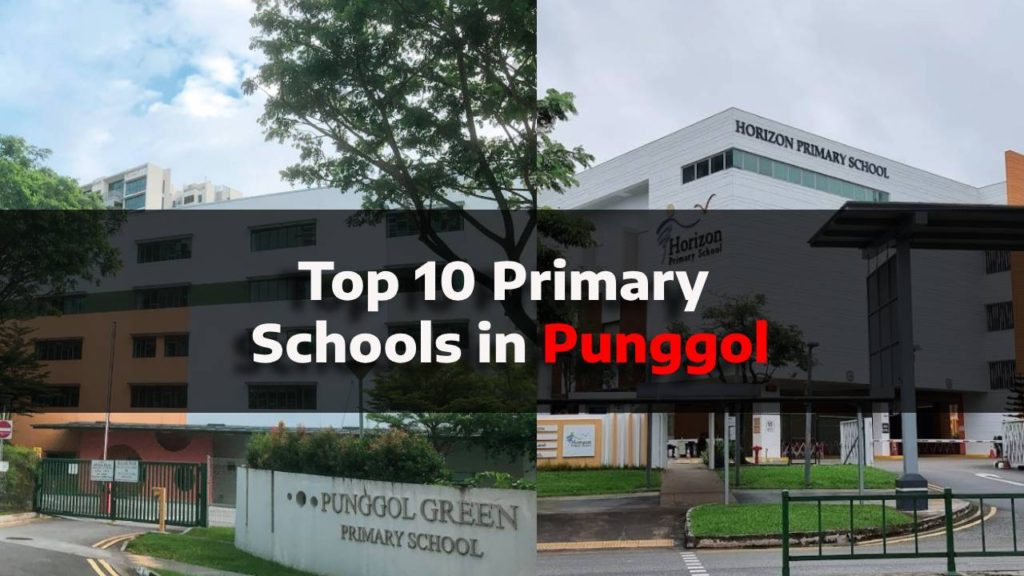 Top 10 Punggol Primary Schools for 2026 Intake: Ranking & Admission ...