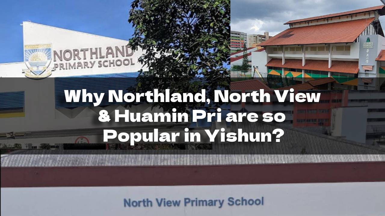 Why Northland, North View & Huamin Primary Schools are so Popular in ...